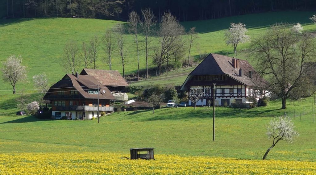 Sehenswürdigkeiten Mittlerer Schwarzwald - Schwarzwald Sehenswürdigkeiten