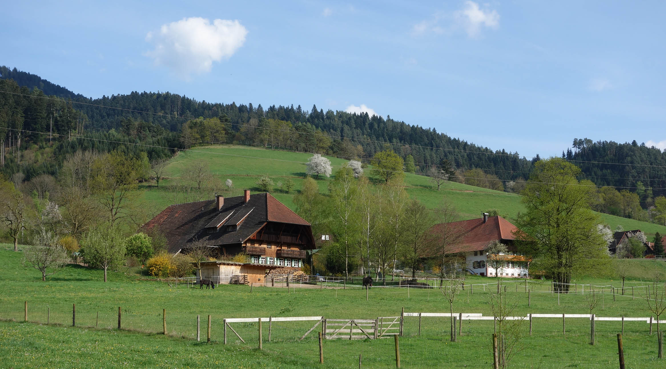 Sehenswürdigkeiten in Gutach - Schwarzwald Sehenswürdigkeiten