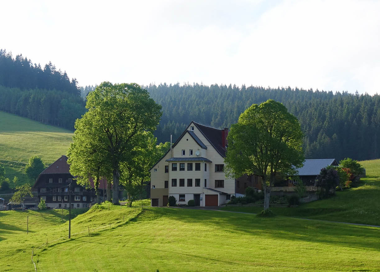 Sehenswürdigkeiten in Furtwangen - Schwarzwald Sehenswürdigkeiten