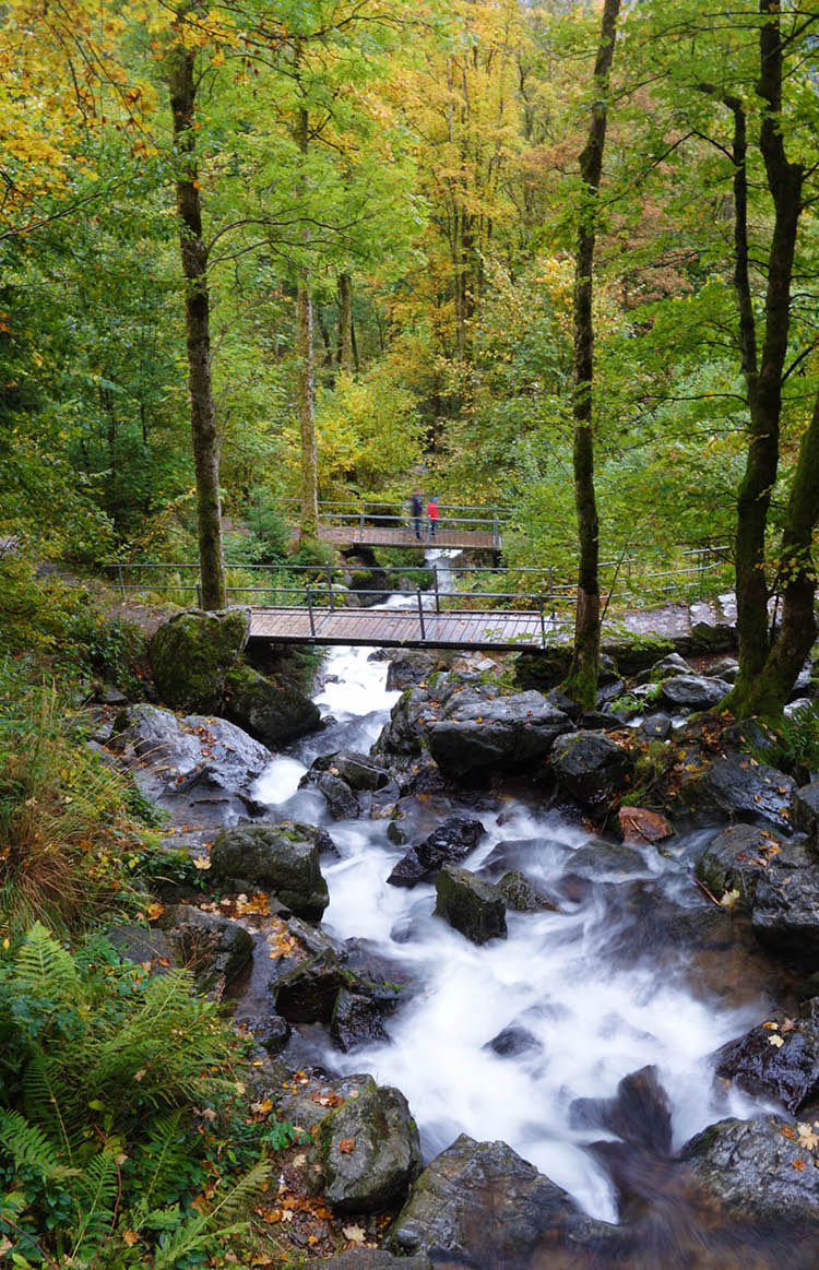 Sehenswürdigkeiten in Todtnau - Schwarzwald Sehenswürdigkeiten
