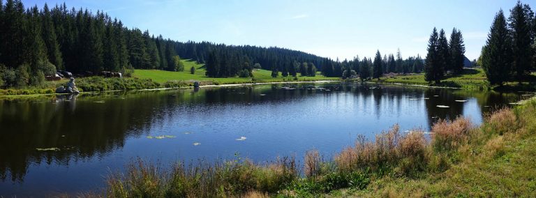 Sehenswürdigkeiten in Schönwald - Schwarzwald Sehenswürdigkeiten