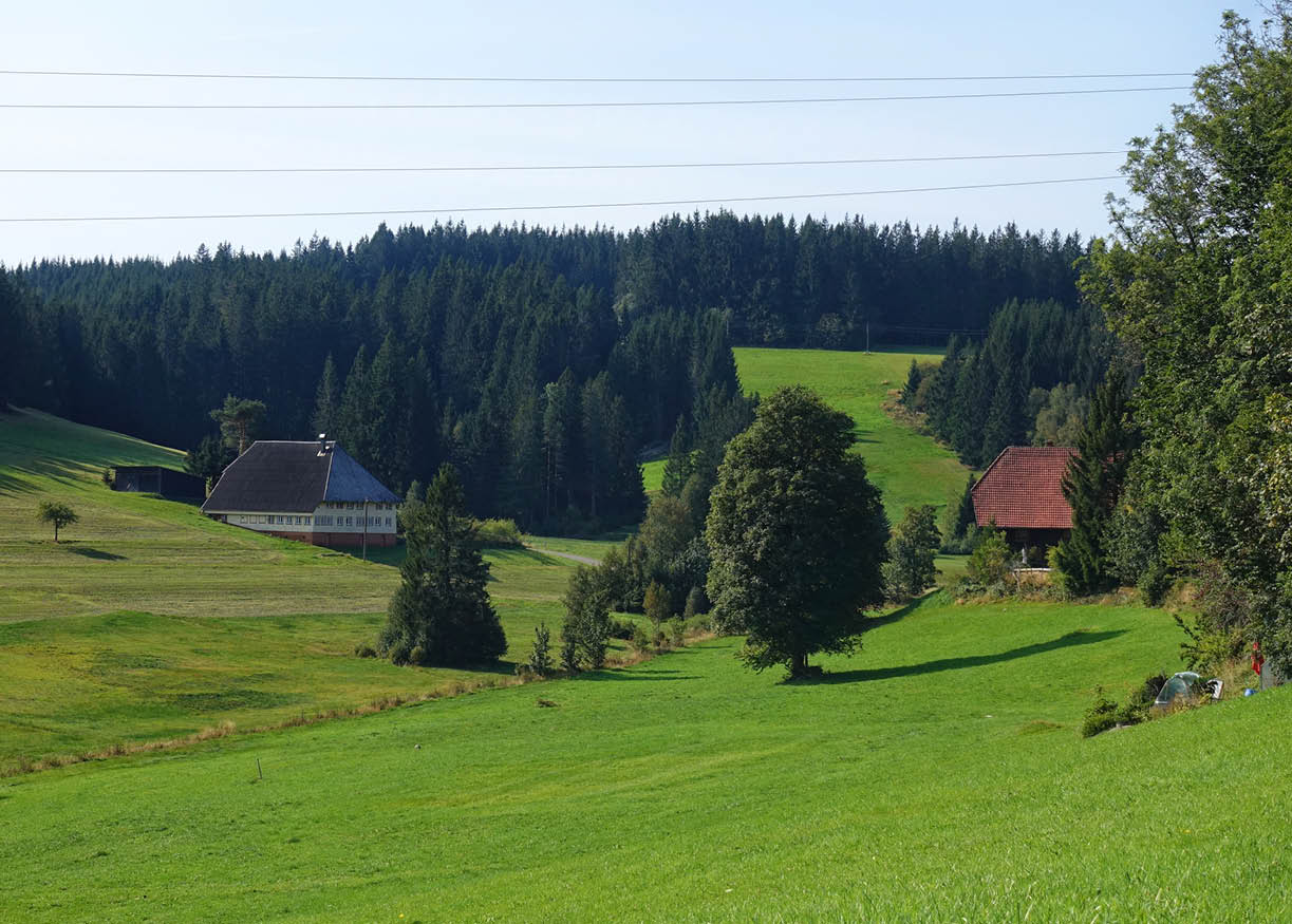 Sehenswürdigkeiten in Schonach - Schwarzwald Sehenswürdigkeiten