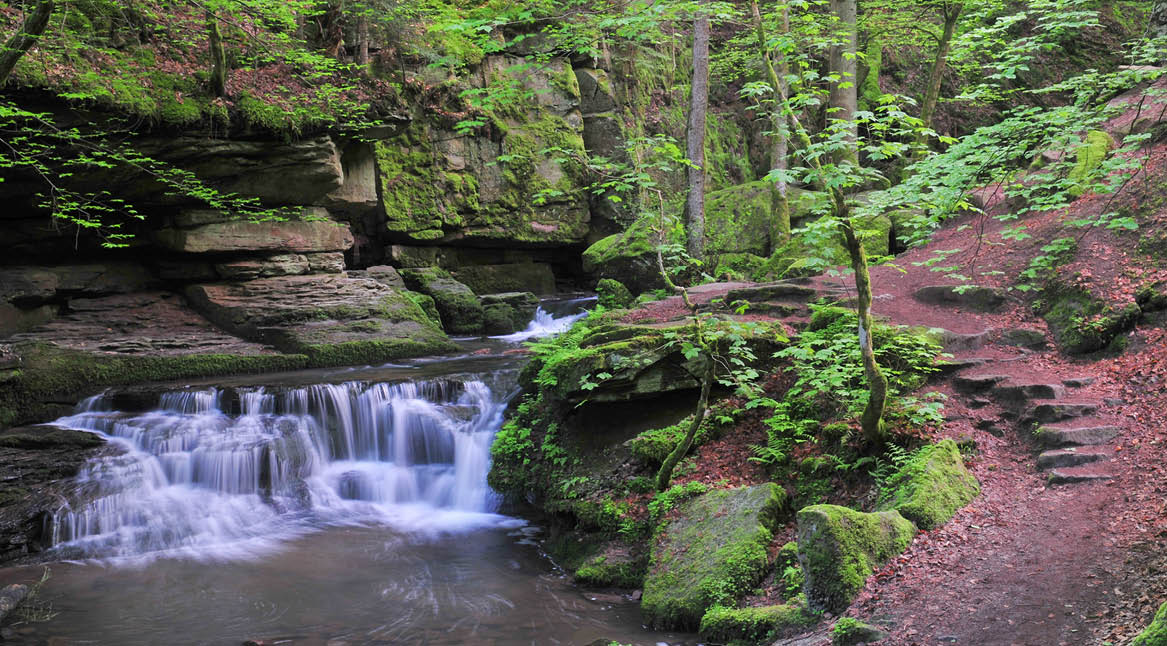 Sehenswürdigkeiten in Bad Liebenzell - Schwarzwald Sehenswürdigkeiten